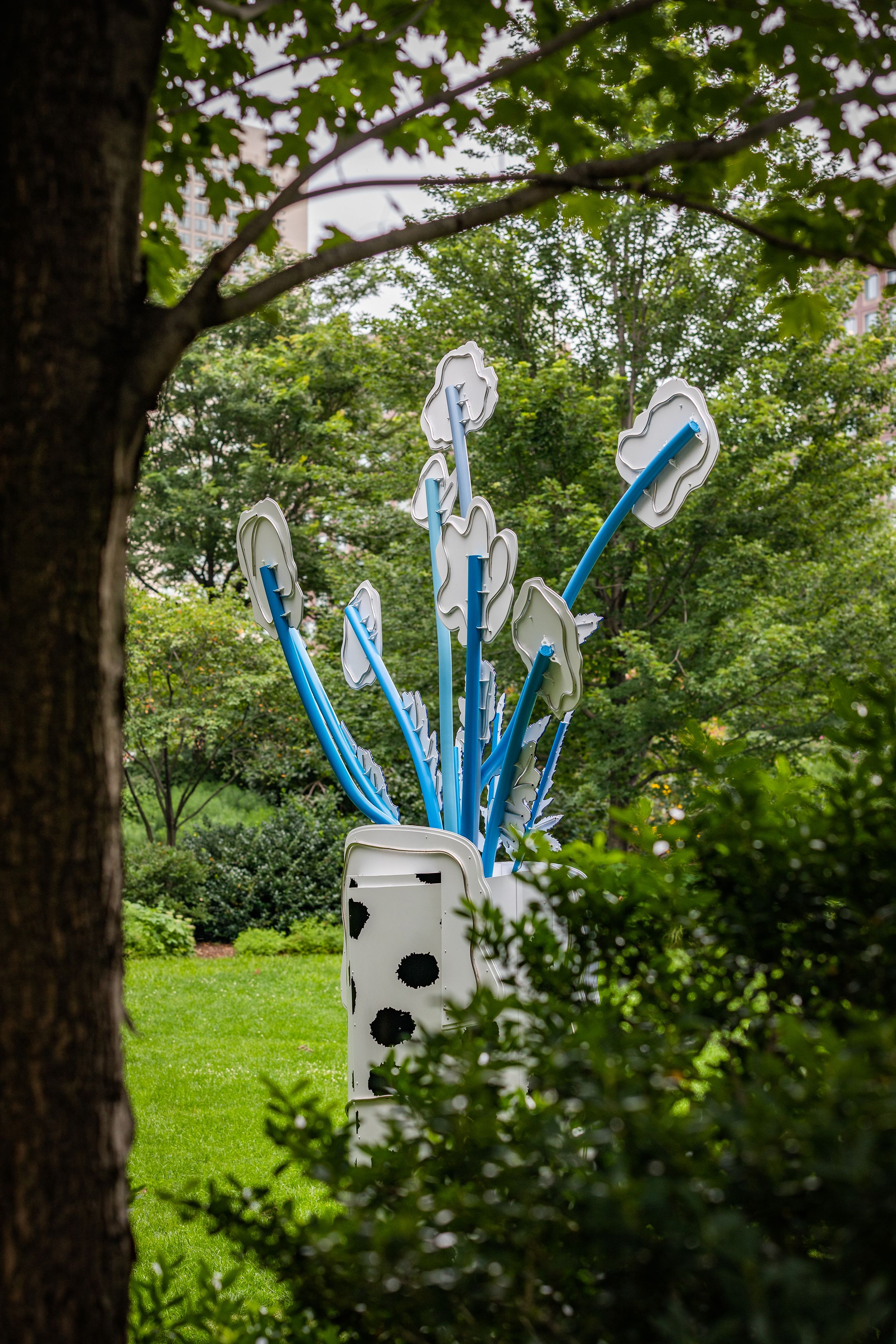 Daniel Gordon Studio