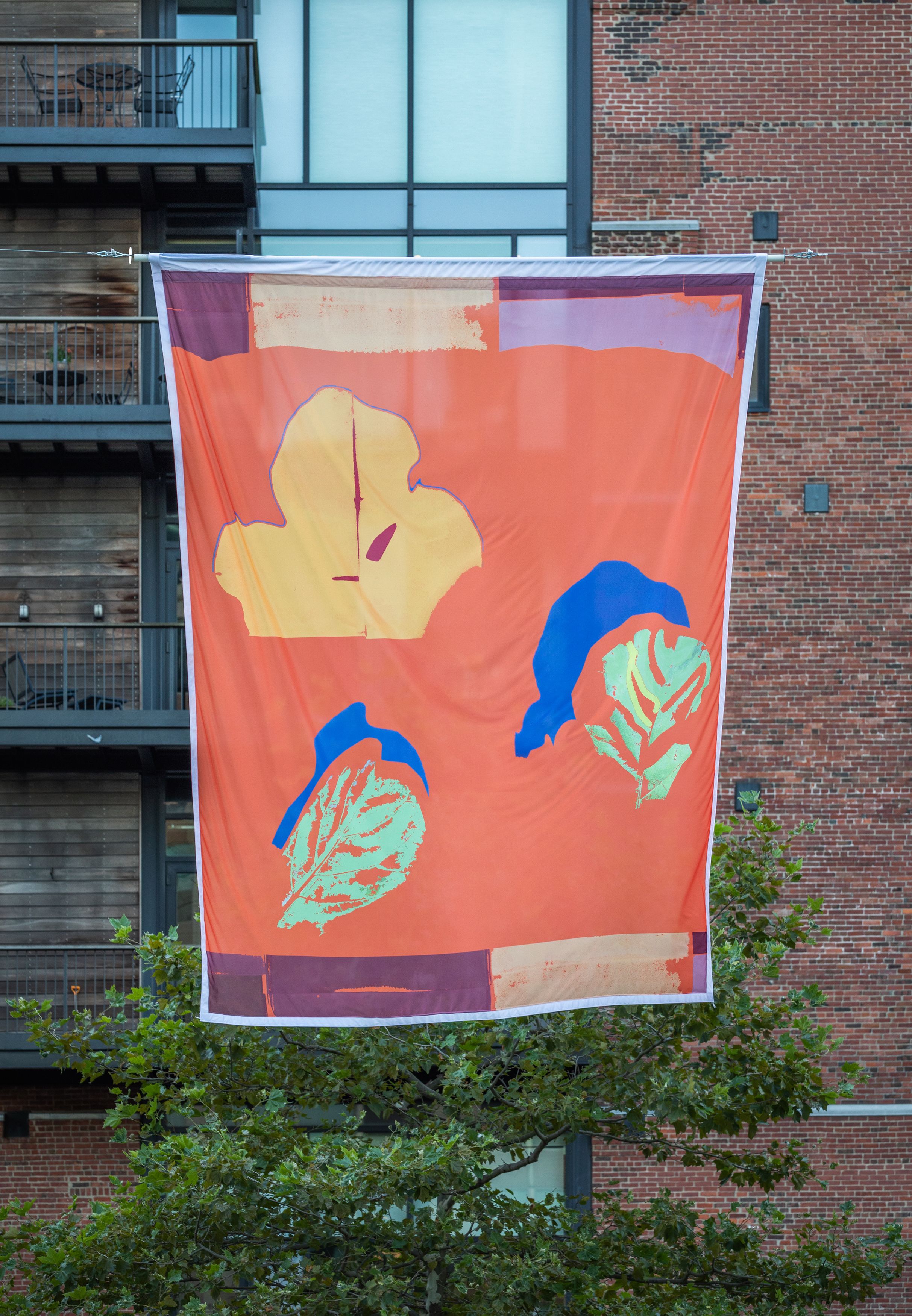 Daniel Gordon Studio