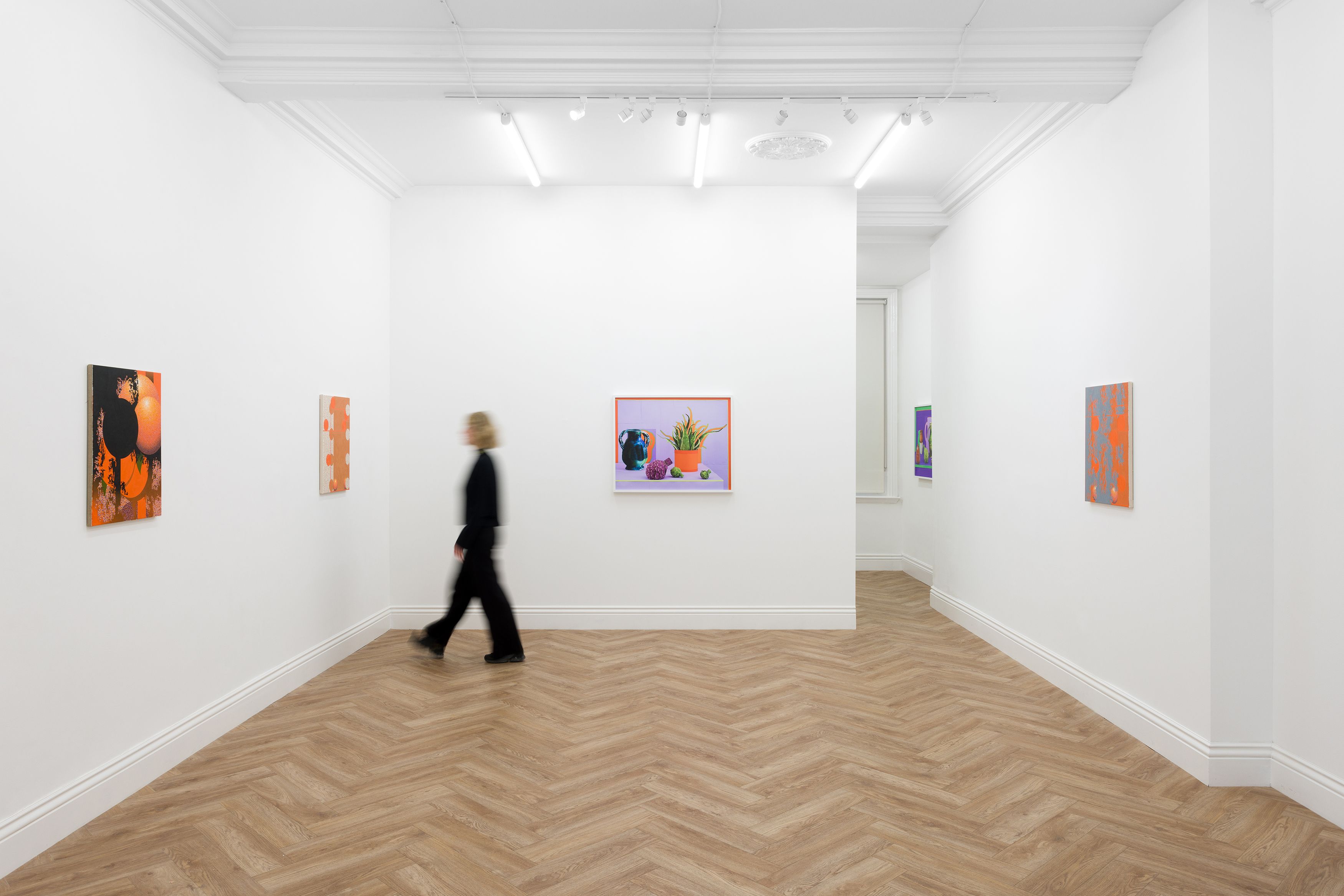 Daniel Gordon Studio