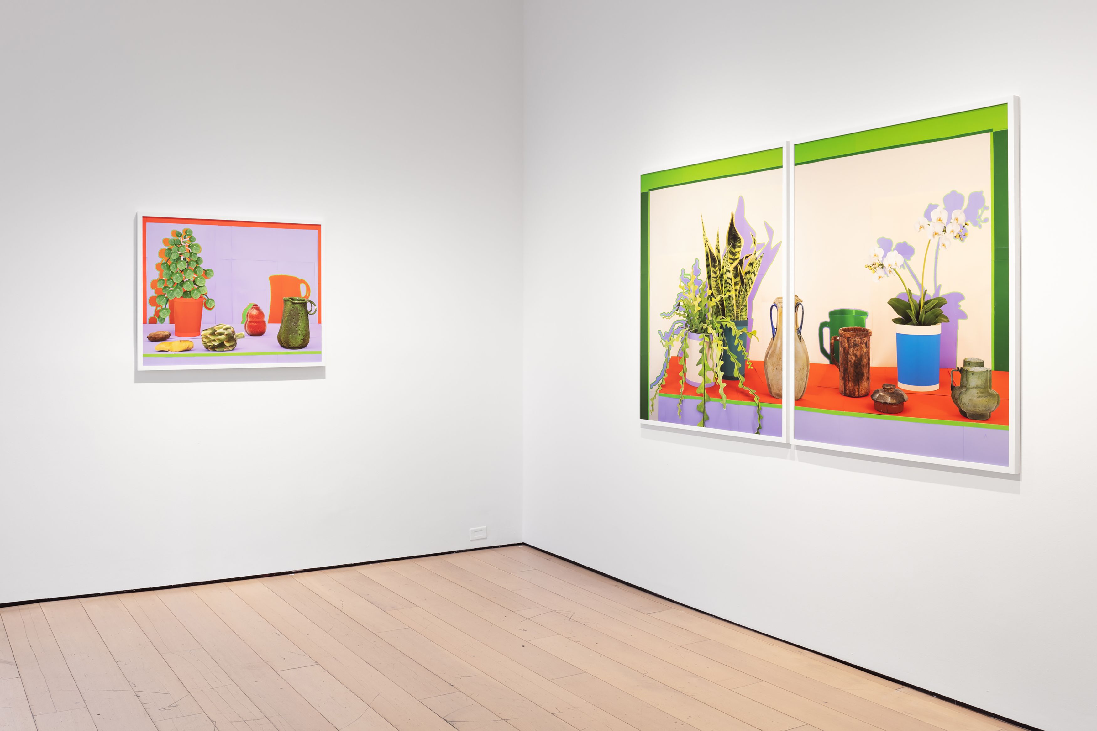 Daniel Gordon Studio