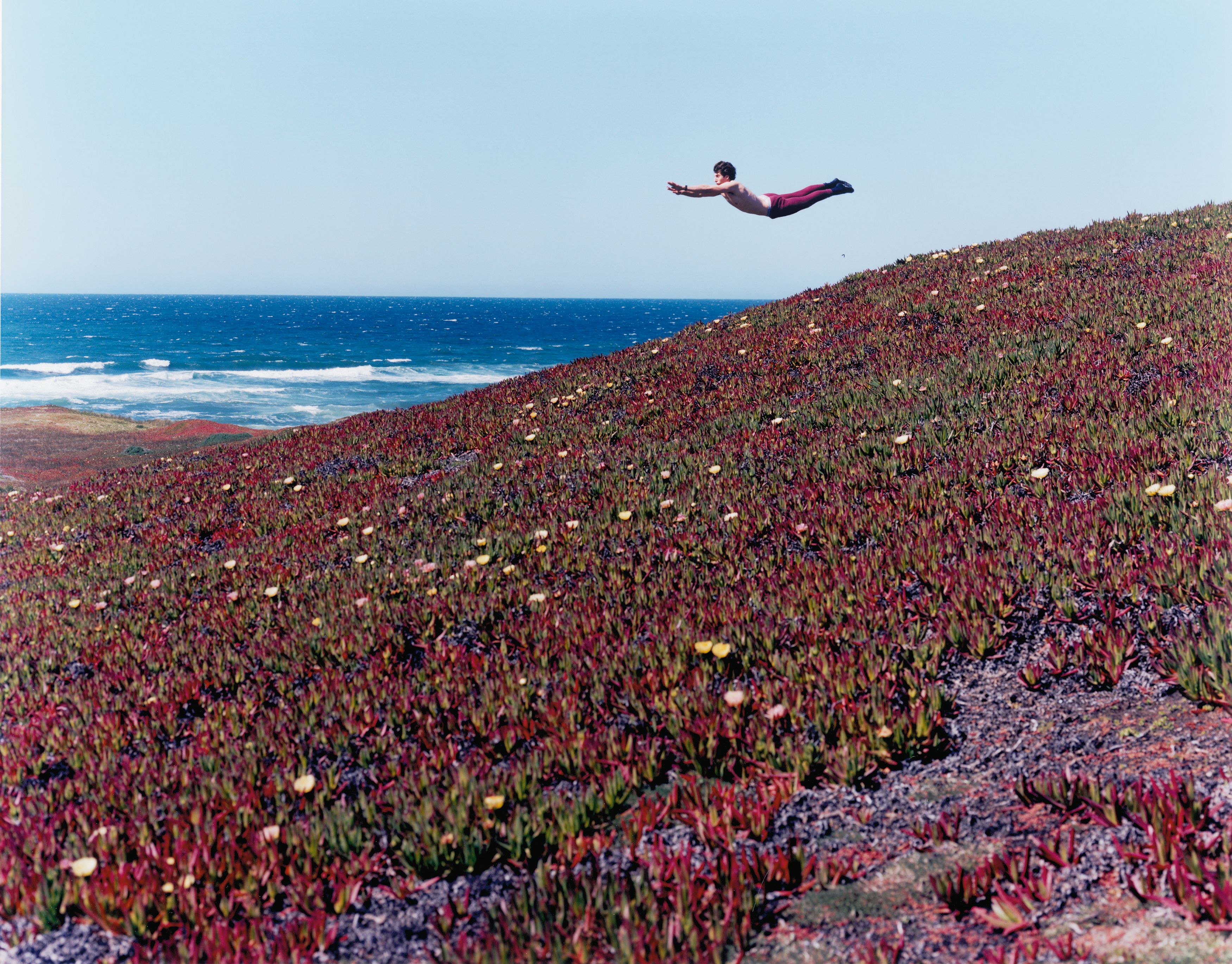 Daniel Gordon Studio