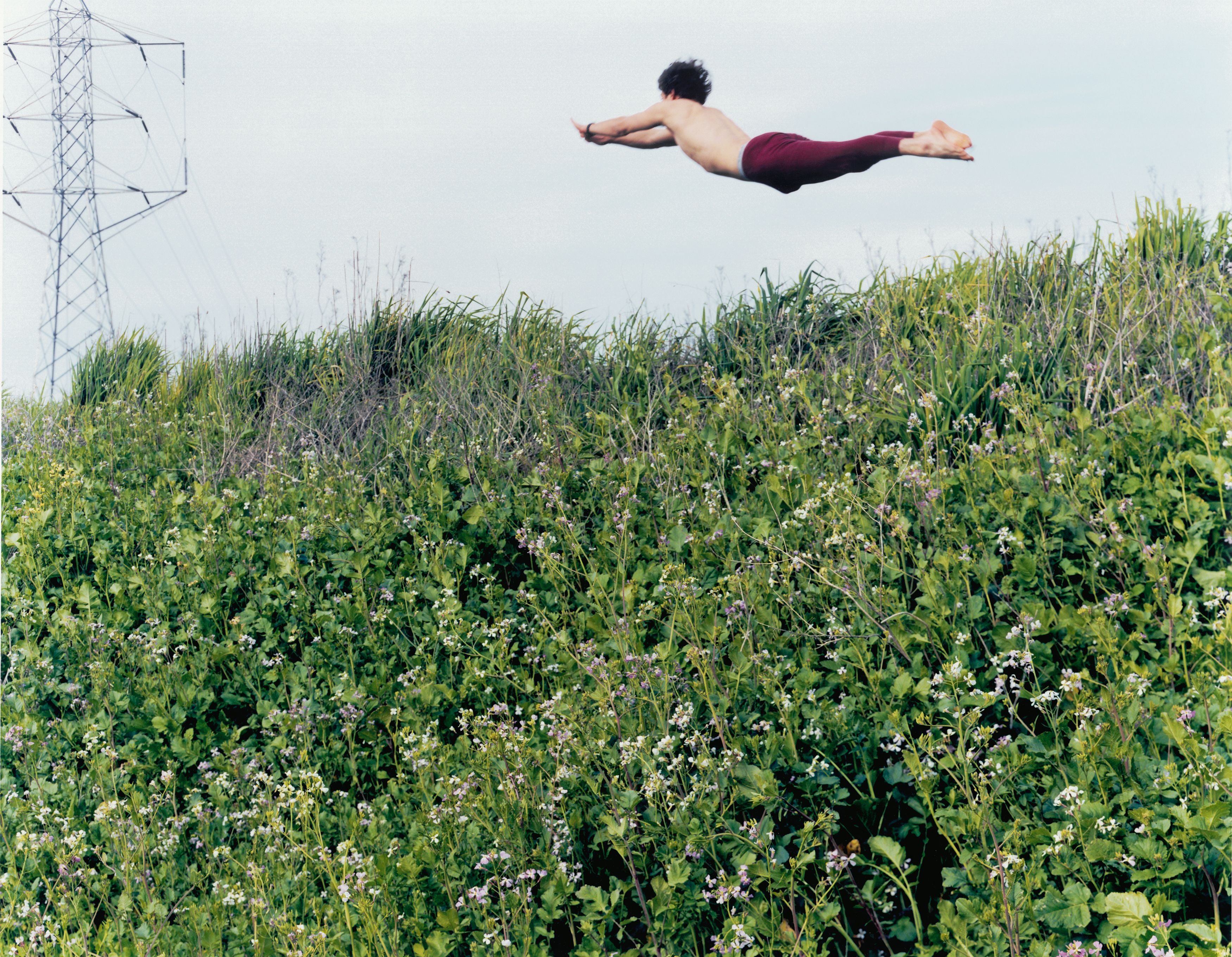 Daniel Gordon Studio