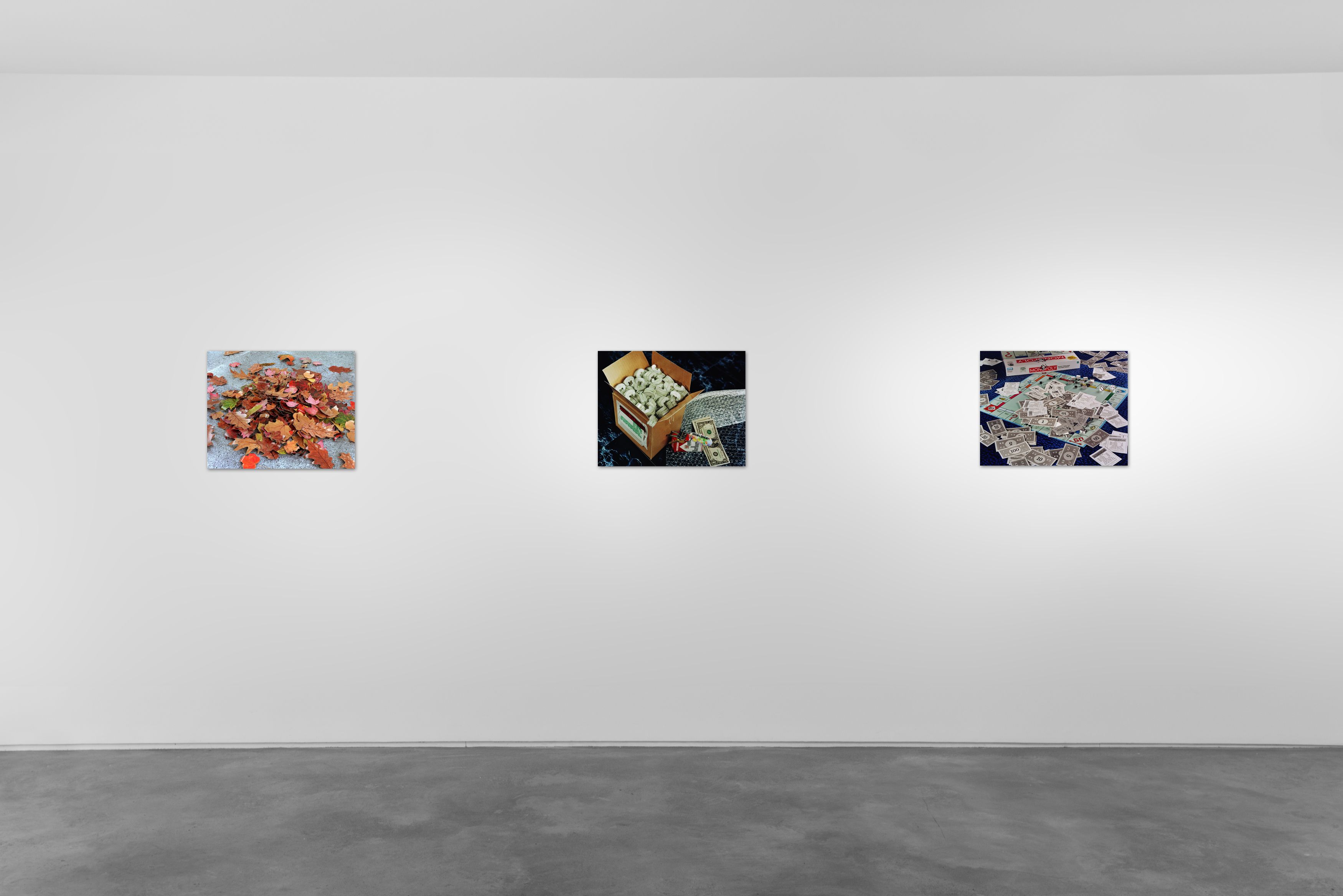 Daniel Gordon Studio