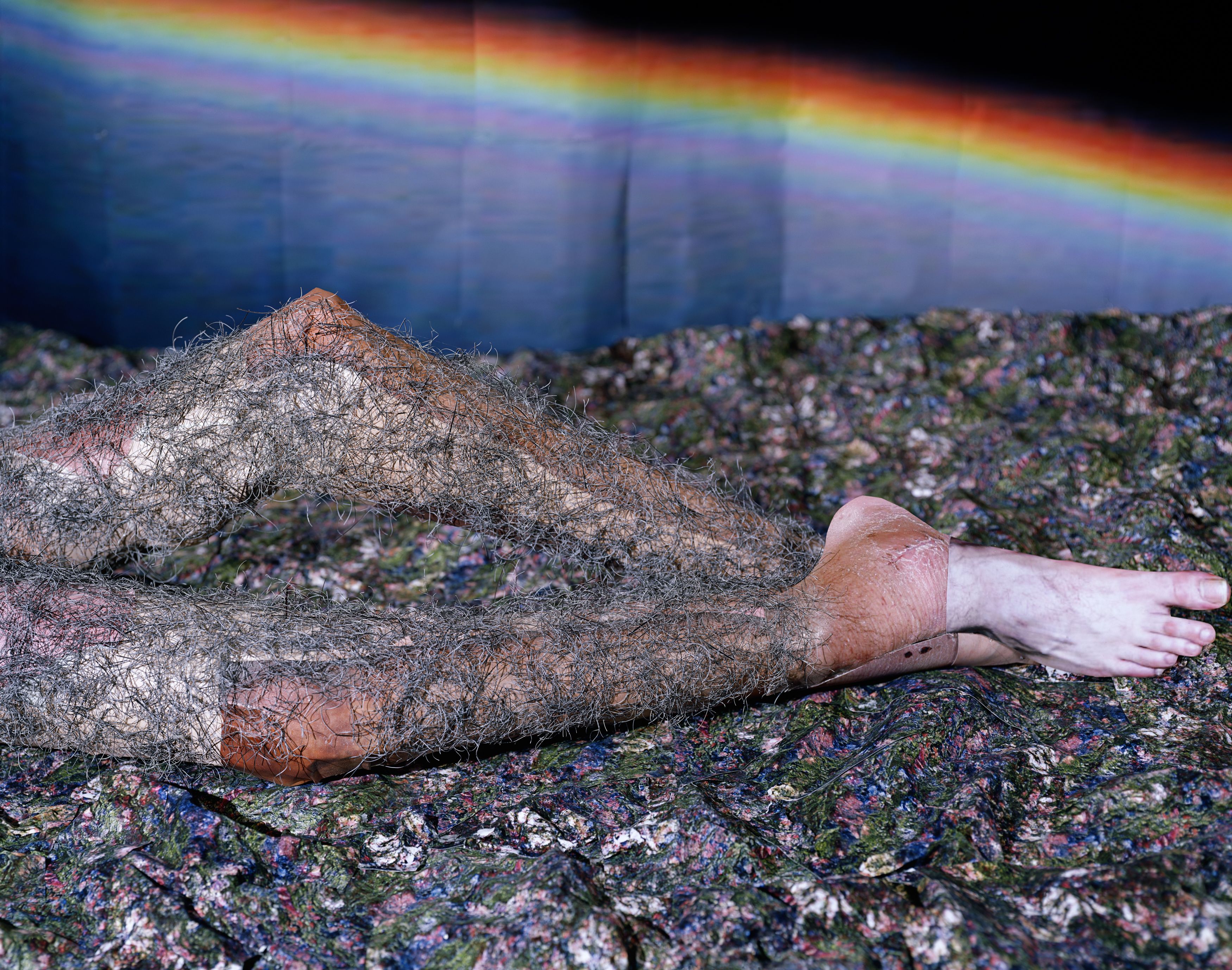 Daniel Gordon Studio