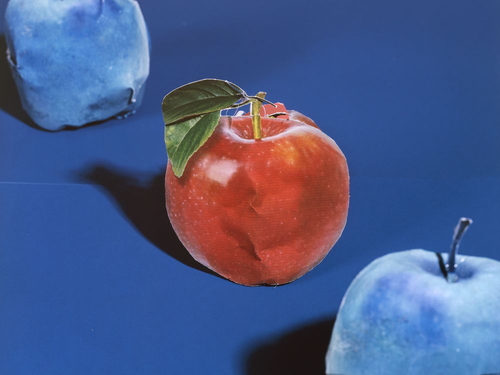 Daniel Gordon Studio