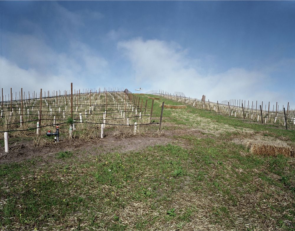 Daniel Gordon Studio