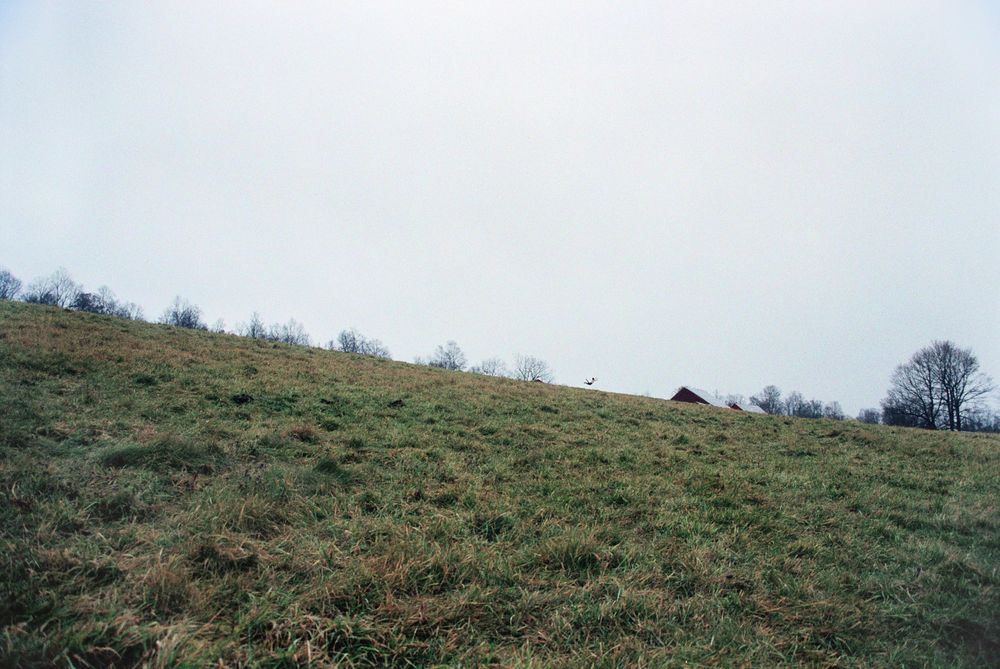 Daniel Gordon Studio