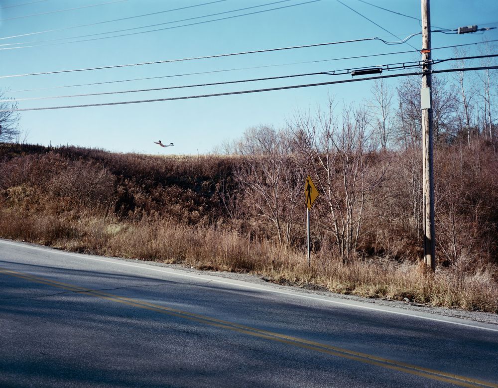 Daniel Gordon Studio