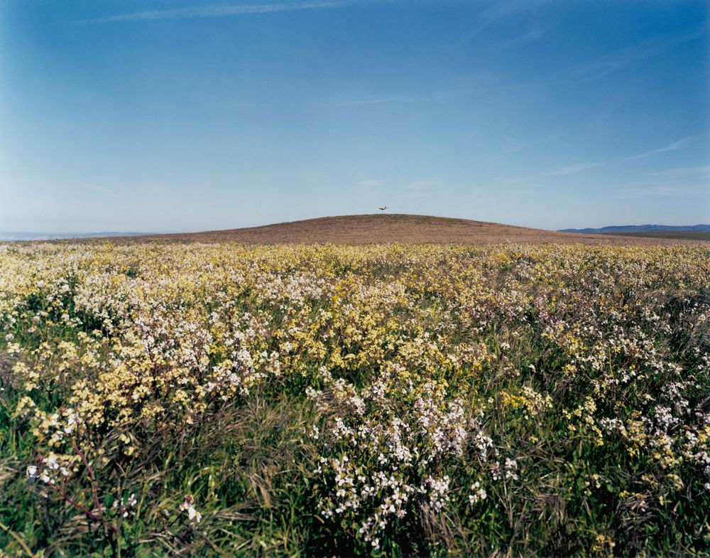 Daniel Gordon Studio