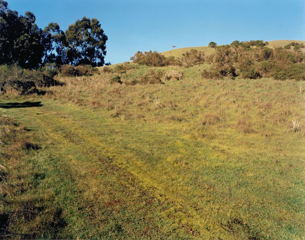 Daniel Gordon Studio