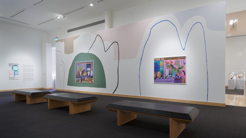 Daniel Gordon Studio