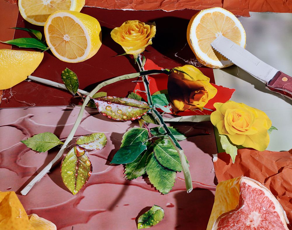 Daniel Gordon Studio