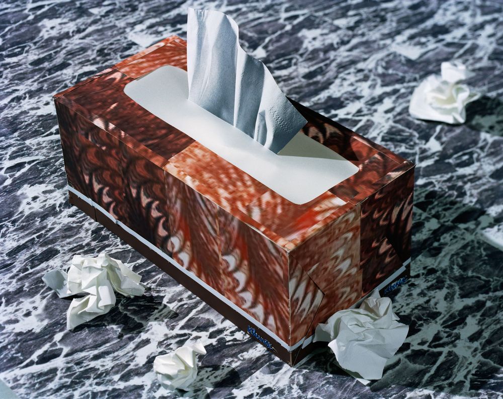 Daniel Gordon Studio