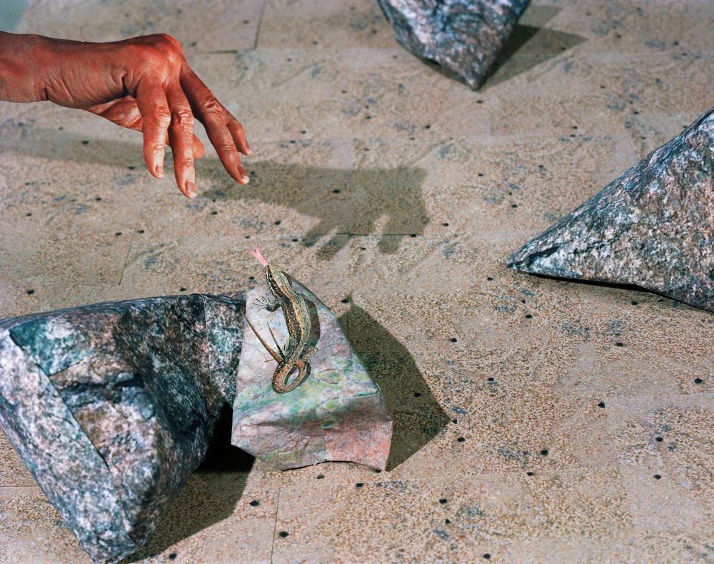 Daniel Gordon Studio