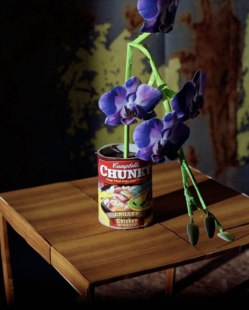 Daniel Gordon Studio