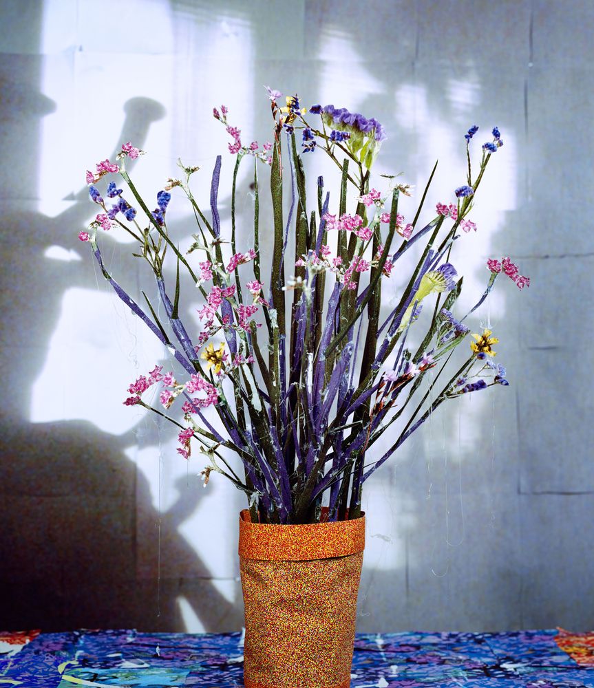 Daniel Gordon Studio