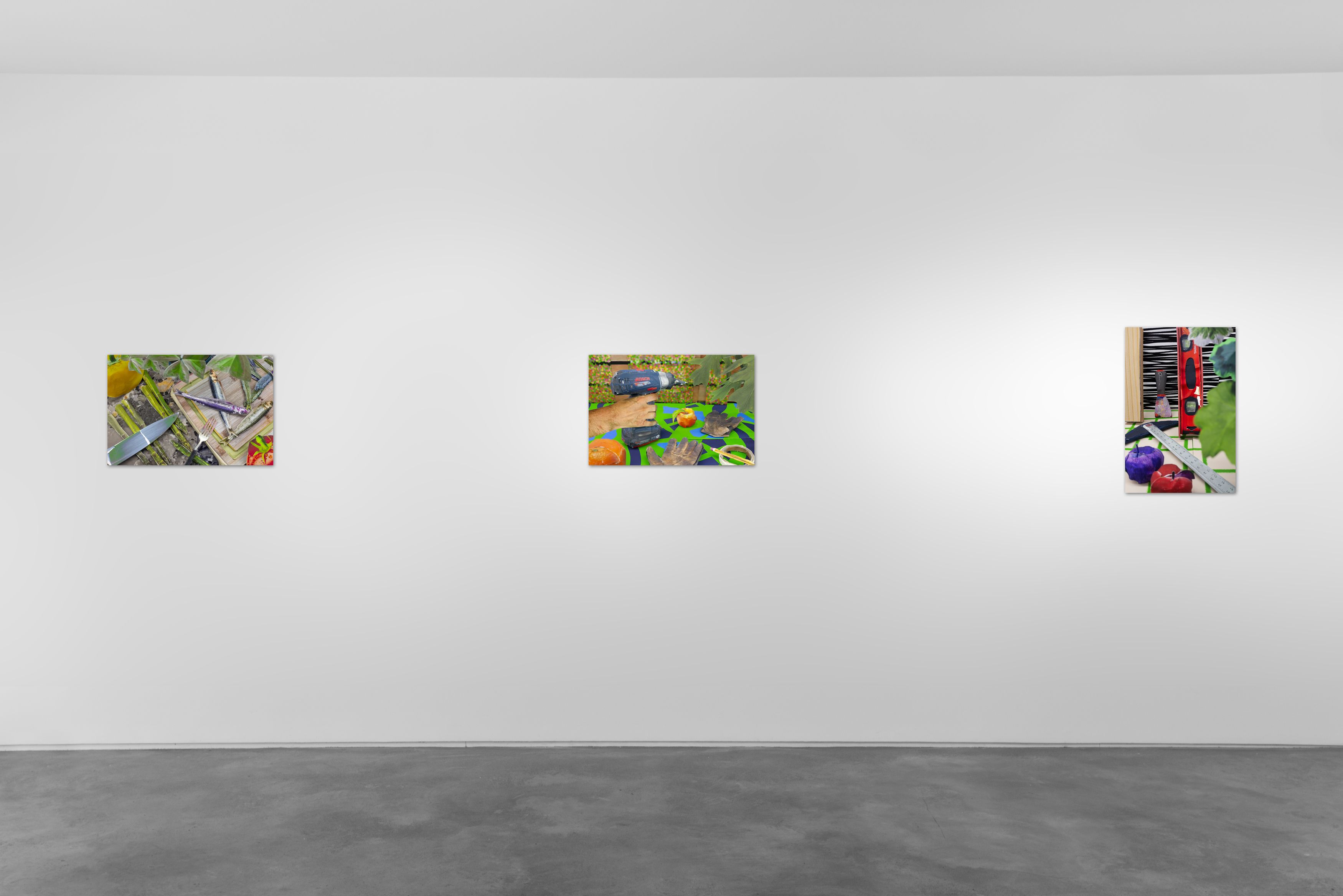 Daniel Gordon Studio